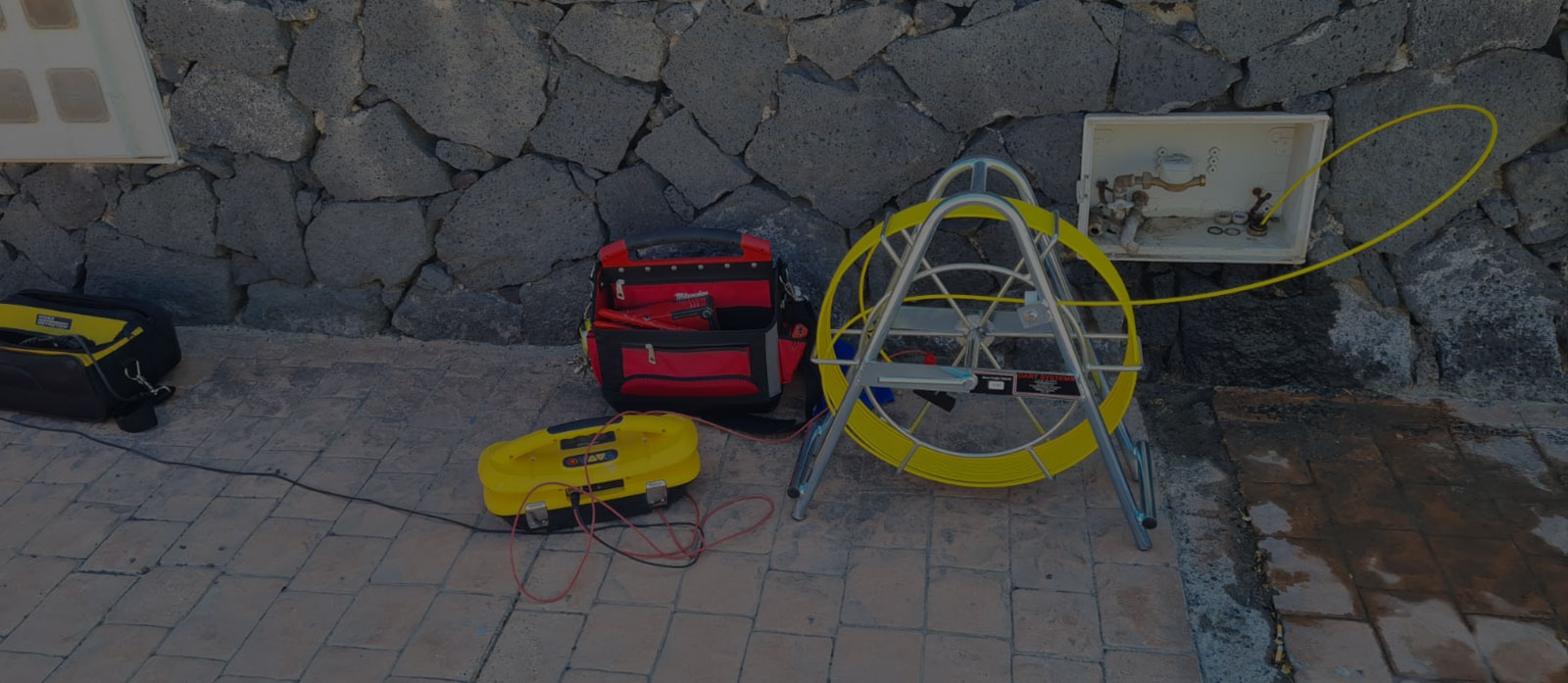 Home - Canary Detect