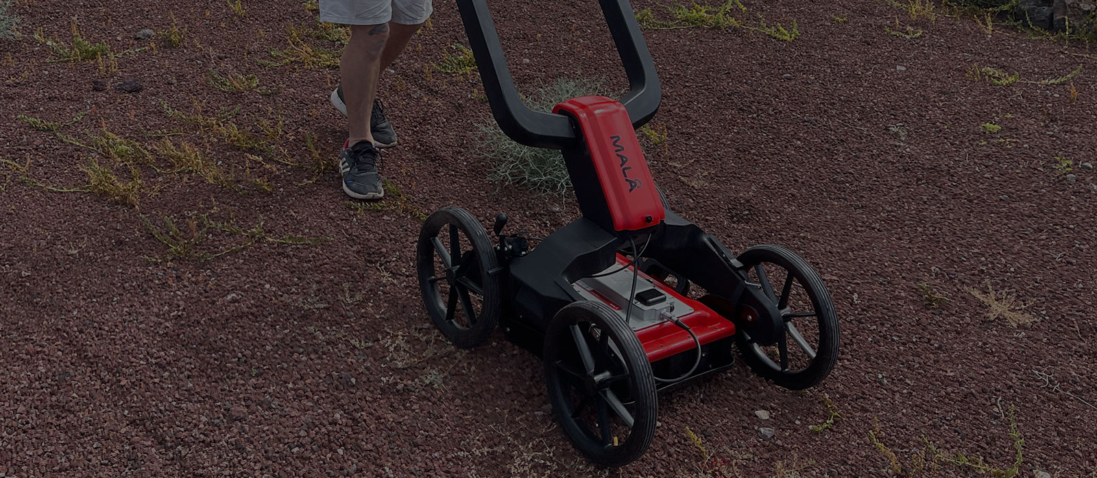 Home - Canary Detect