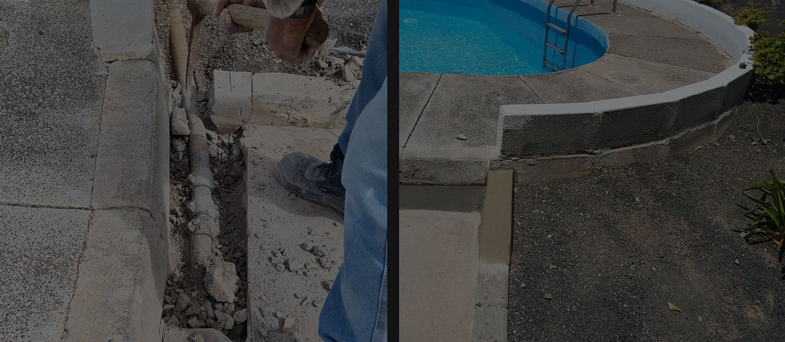 Home - Canary Detect