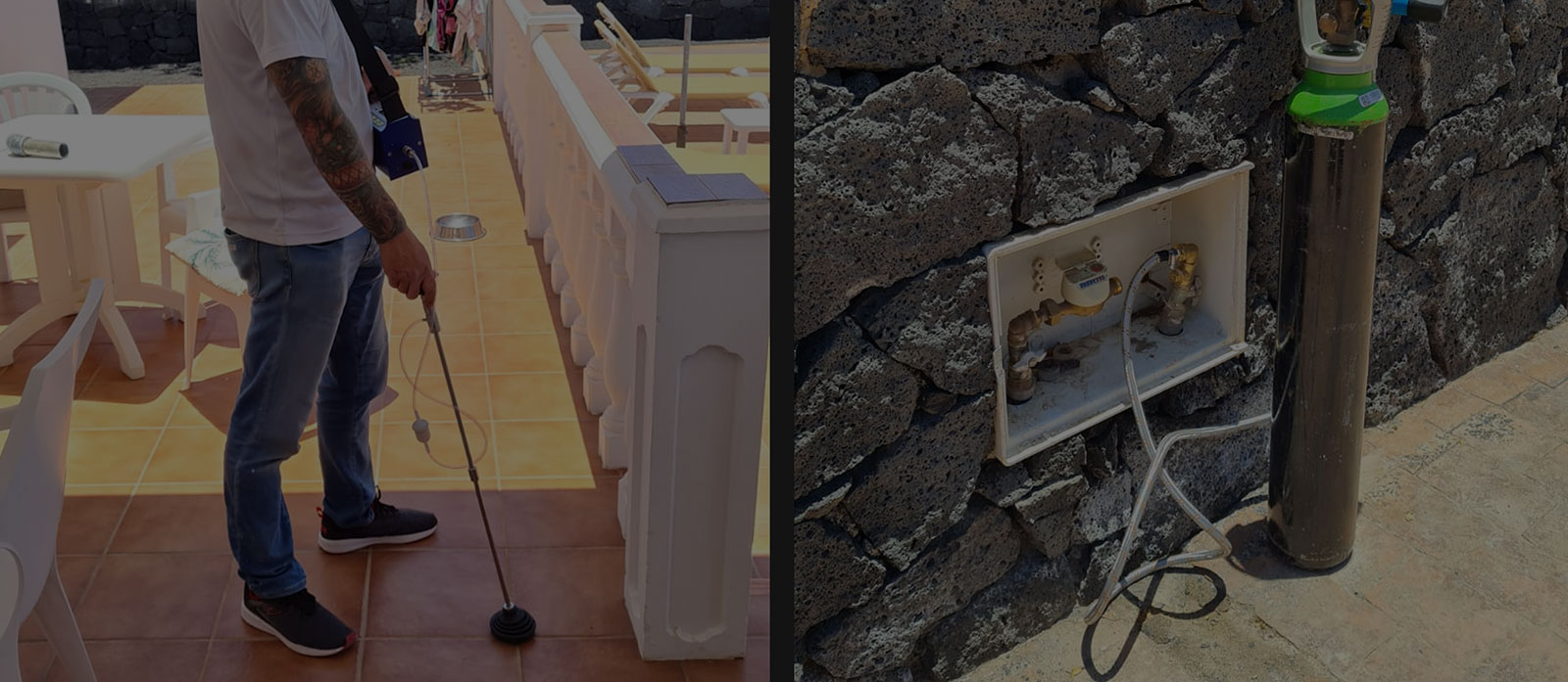 Home - Canary Detect