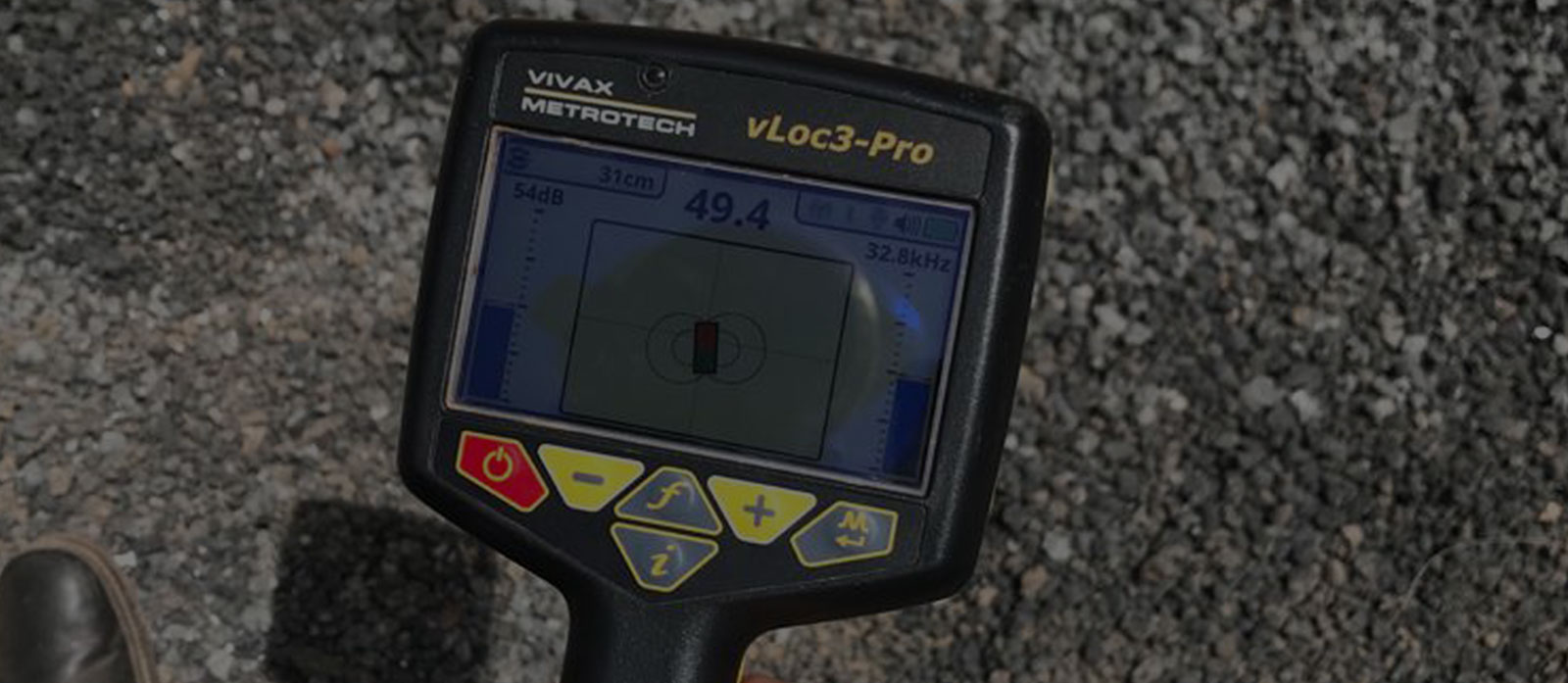 Home - Canary Detect